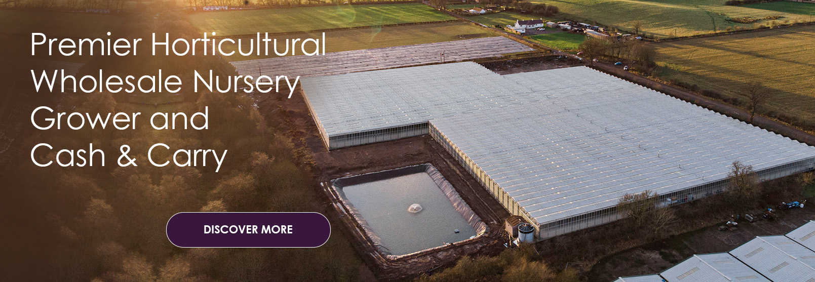 Craigmarloch Nurseries Ltd | Shrubs, Grasses, Topiary, Gardening ...